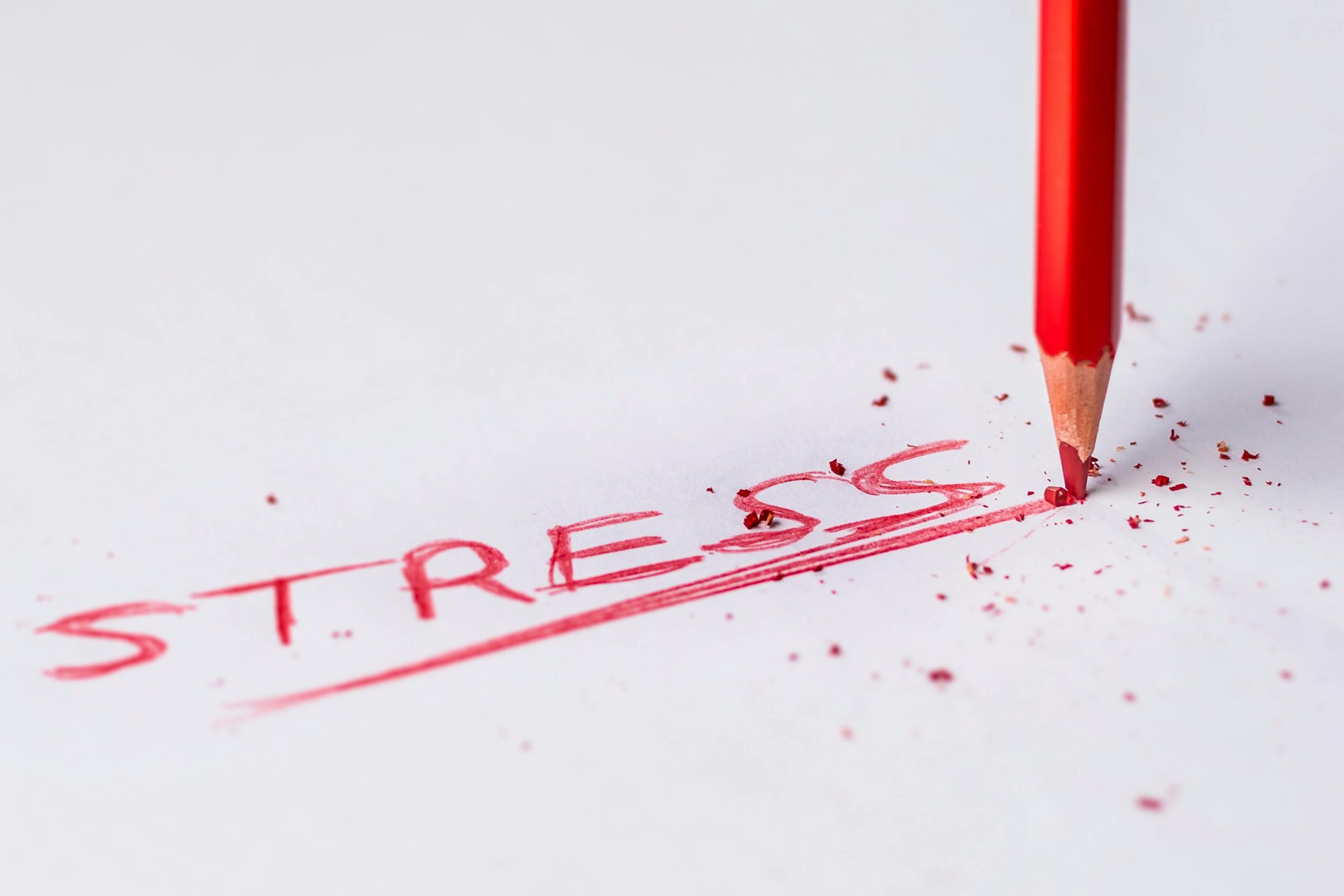 Unpacking Your Stress Bucket: Tips for Managing Life's Overflows – RJ ...